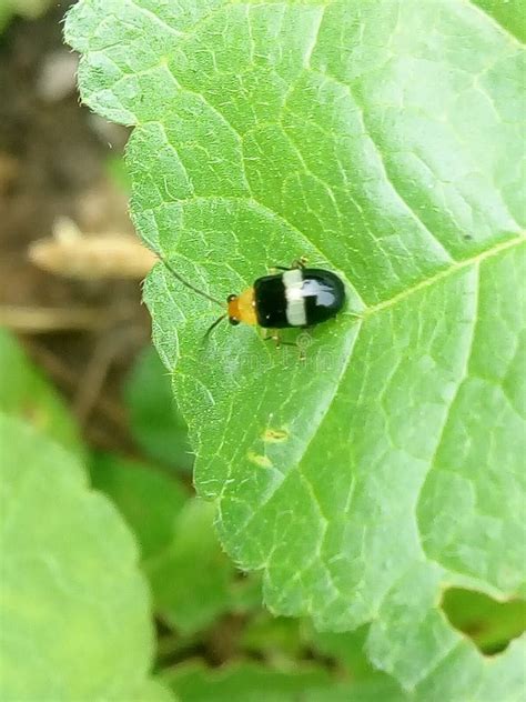Número Fotos De Stock De Palavra Chave Fotos De Stock Gratuitas E