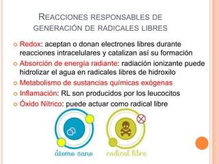 Tipos De Necrosis Y Apoptosis Pptx