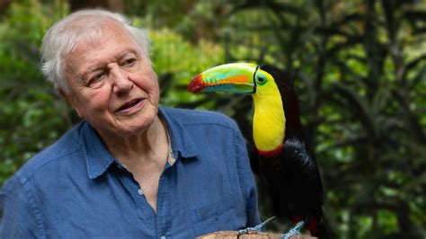 ‘attenboroughs Life In Colour Everything You Need To Know About Sir
