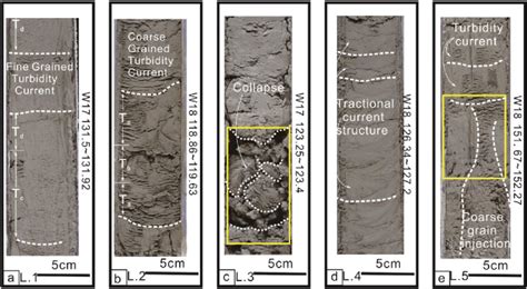 Classification Of Core Samples A Graded Bedding Silty Mudstone