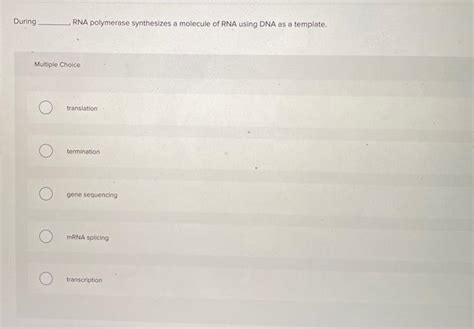 Solved During RNA Polymerase Synthesizes A Molecule Of RNA Chegg Com