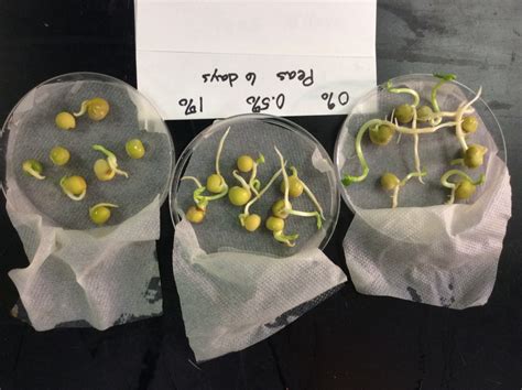 Soil Salinization Lab Teaching Ap® Science