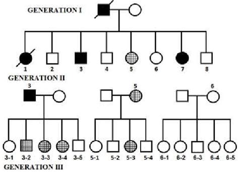 Figure 1 From Detection Of Cag Trinucleotide Repeat Numbers With Fragment Analysis In Patients