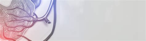 Prostate Artery Embolization For Bph Arvcenters