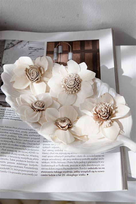 Kwiat Shola Topia Awai Concept Store