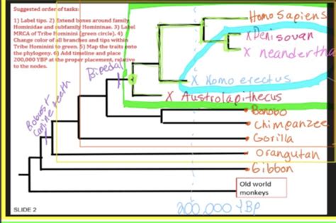 Bio 171 Exam 4 Lecture 24 Flashcards Quizlet