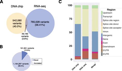 Functional Characterization Of All Variants Identified Using Dna Chips