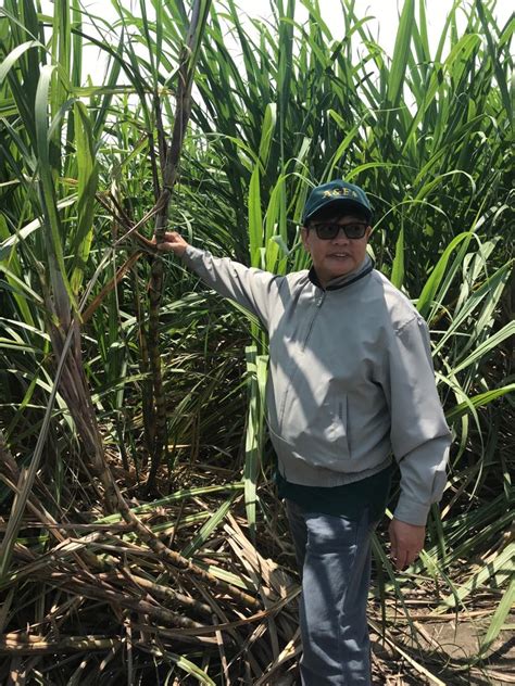 Dost Pcaarrd “with Nutrio Biofertilizer Sugarcane