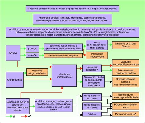 Vasculitis Cutáneas Actas Dermo Sifiliográficas