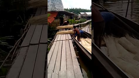 Gambar Ketupat Daun Nipah 6000 Gambar Daun Nipah Hd Terbaru Gambar Gambar Ketupat Daun Nipah 6000 Gambar Daun Nipah Hd Terbaru Gambar