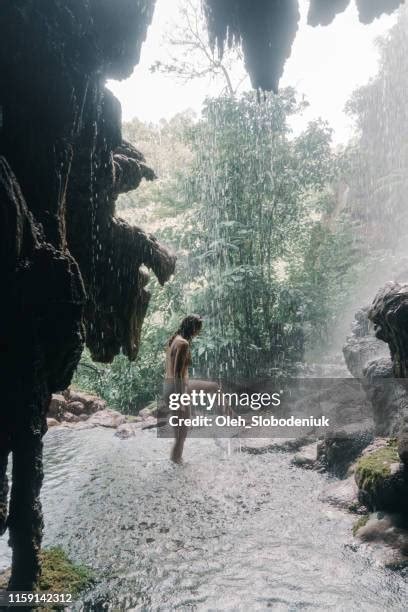 Java Tree Photos And Premium High Res Pictures Getty Images
