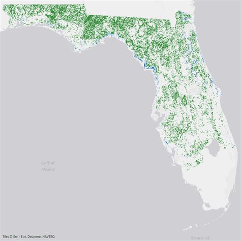 Coopers Hawk Climate Adaptation Explorer