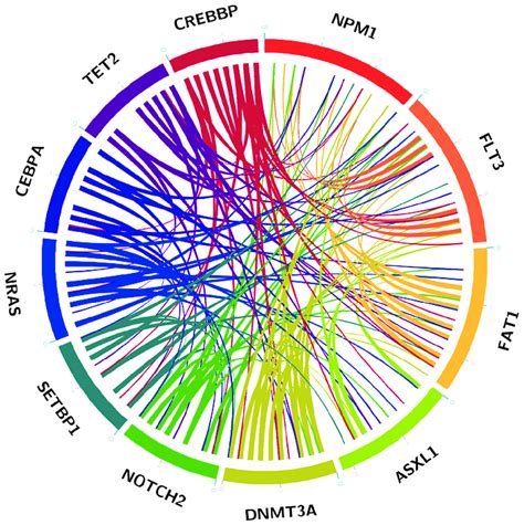 Combined Mutations Of 11 High Frequency Mutations Different Colours Download Scientific