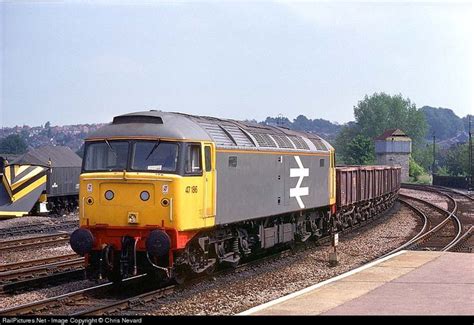 High Quality Photograph Of British Rail Class 47 Brush Type 4 47186