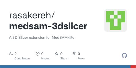 Github Rasakerehmedsam 3dslicer A 3d Slicer Extension For Medsam Lite