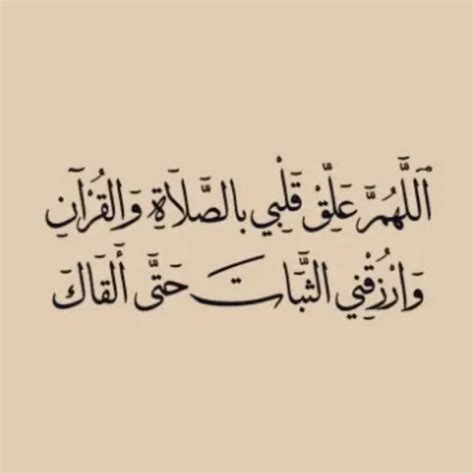 Sara Mohamed Youtube