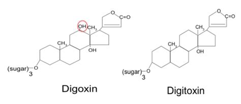 Digitalisglycosides Tusom Pharmwiki