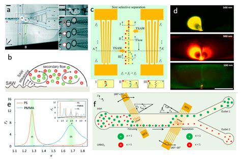 Acoustic Microfluidic Separation Techniques And Bioapplications A Review