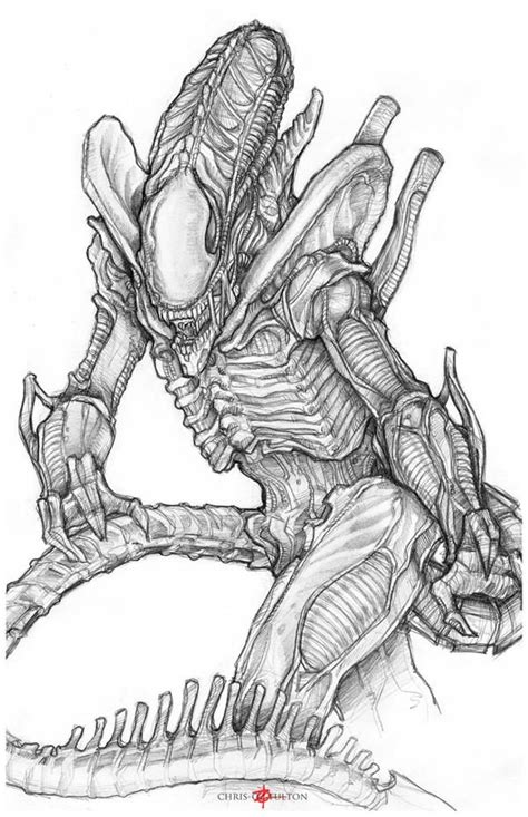 Xenomorph Alien By Chrisozfulton On Deviantart Alien Drawings