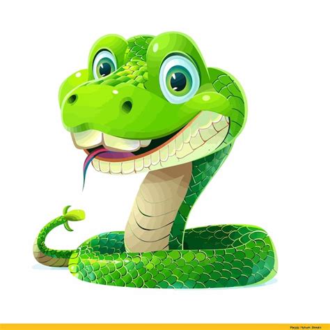 Premium Vector A Green Snake With A Mouth Full Of Teeth