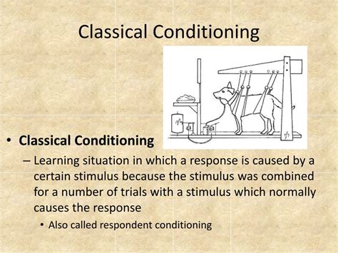 Ppt Classical Conditioning Powerpoint Presentation Free Download