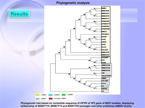 Molecular Characterisation Attenuation And Inactivation Of Very