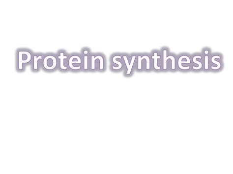 Protein Synthesis Revision Teaching Resources