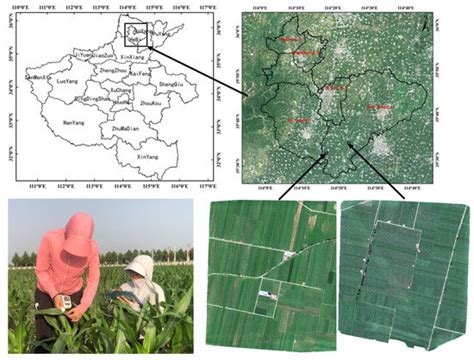 Agronomy Free Full Text Regional Monitoring Of Leaf Chlorophyii