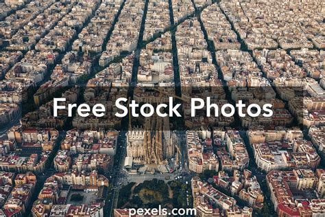 Kitty Cerda Crime Scene Investigation Photos Download The Best Free Kitty Cerda Crime Scene