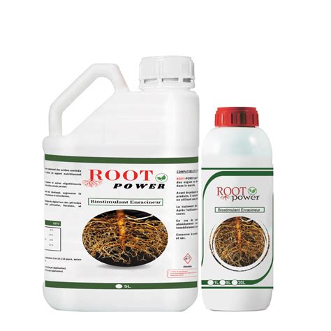 Root Power Hortinovagromaroc