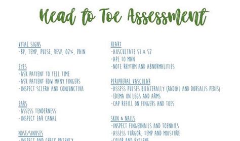 Head To Toe Assessment Reference Sheet Nursing School Worksheet Etsy