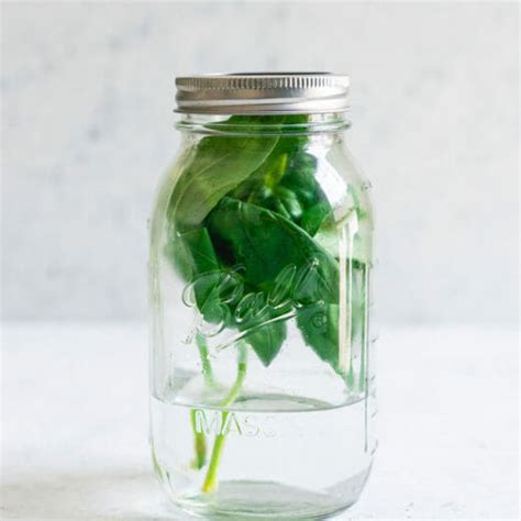 How To Store Fresh Basil A Couple Cooks