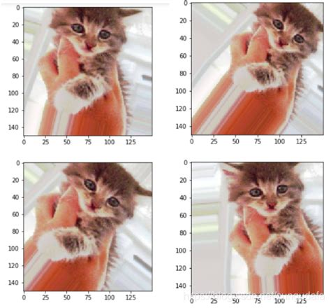 【tensorflowandkeras】入门猫狗数据集实验 理解卷积神经网络cnn archive猫狗数据 csdn博客
