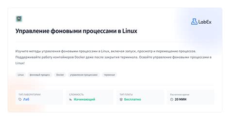 Управление фоновыми процессами в Linux Labex