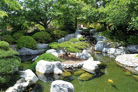 Parc Japanese Garden Balboa Park San Diego California Nature Japanese