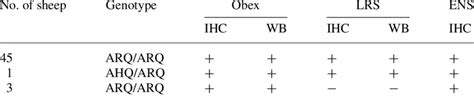Prp Genotypes And Results Of Prp Sc Ihc And Wb In The Obex Lrs