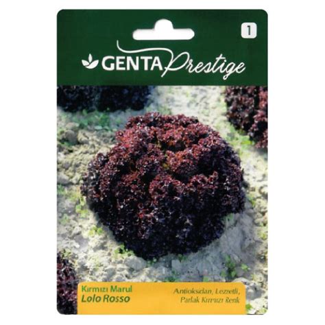 متجر الكادي الإلكتروني خس لولو قرمزي تركي