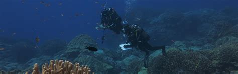 A New Method To Assess Ecosystem Vulnerability And Protect Biodiversity