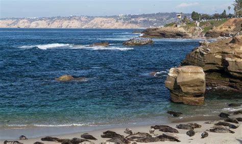 20 Best Beaches In Newport Beach Ca 2025 Top Beach Spots