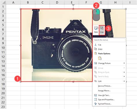 6 Ways To Crop An Image In Microsoft Excel How To Excel