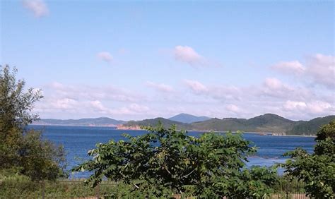 Теплом и лаской дышит земля Екатерина Мухарская Стихиру