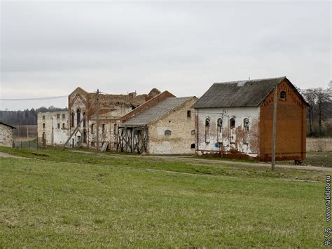 Tabibito — Белоруссия Сынковичи