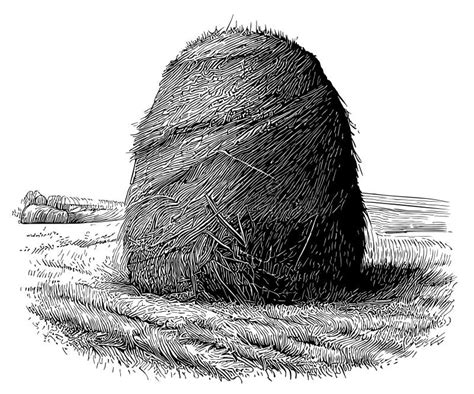 Haystack Hand Drawn Sketch In Graphic Vector Illustration Stock