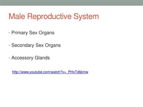 Ppt Med 103 Medical Terminology Powerpoint Presentation Id2242698