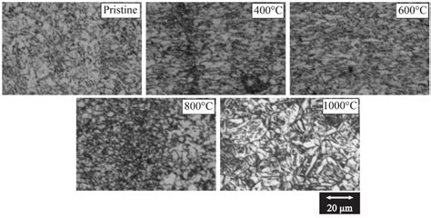 Metallographic Observations On Region E For An As Received Sample And