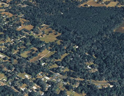 Sell Your Land Fast Alachua County Fl We Buy Land For Cash