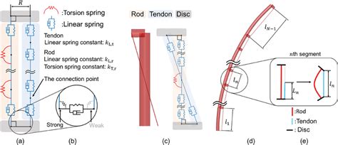 Mathematical Model Of The Rod Deformation And Deformed Shape