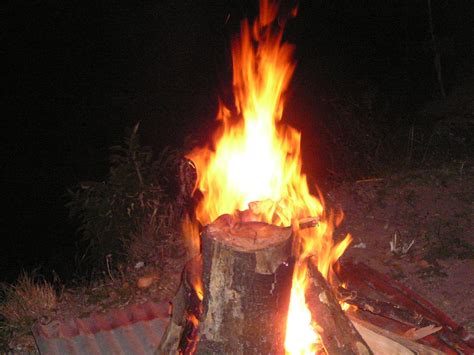 Sumedha One Month Of Sumedha Sadhana