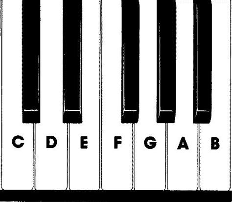 อัลบั้ม 91 ภาพ Octave รูปภาพ ครบถ้วน