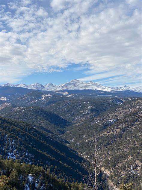 Like Grandmas Kiss On The Cheek It Can Only Happen In Person Todays World Revolves